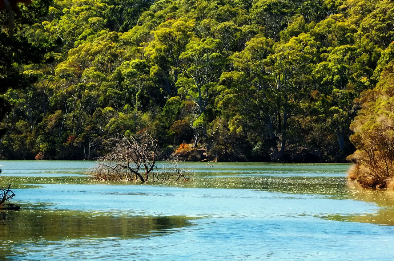 Cardwell - A Beautiful Spot to enjoy holiday - Kookaburra Holiday Park